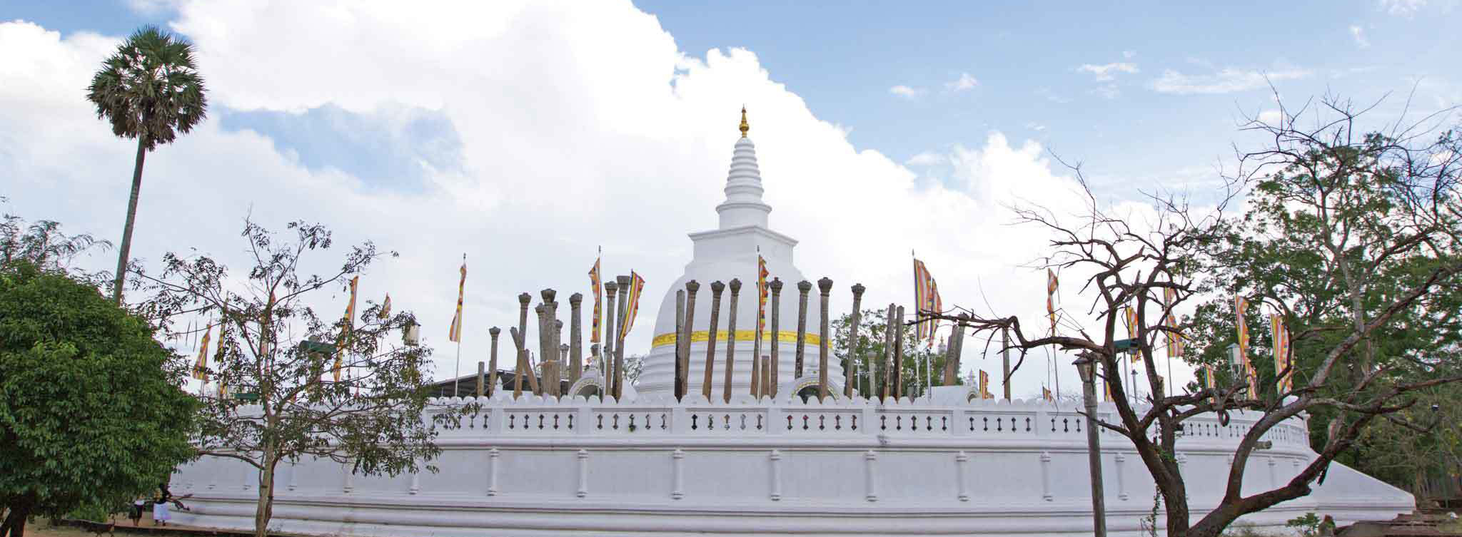 Medin Poya - Tourslanka