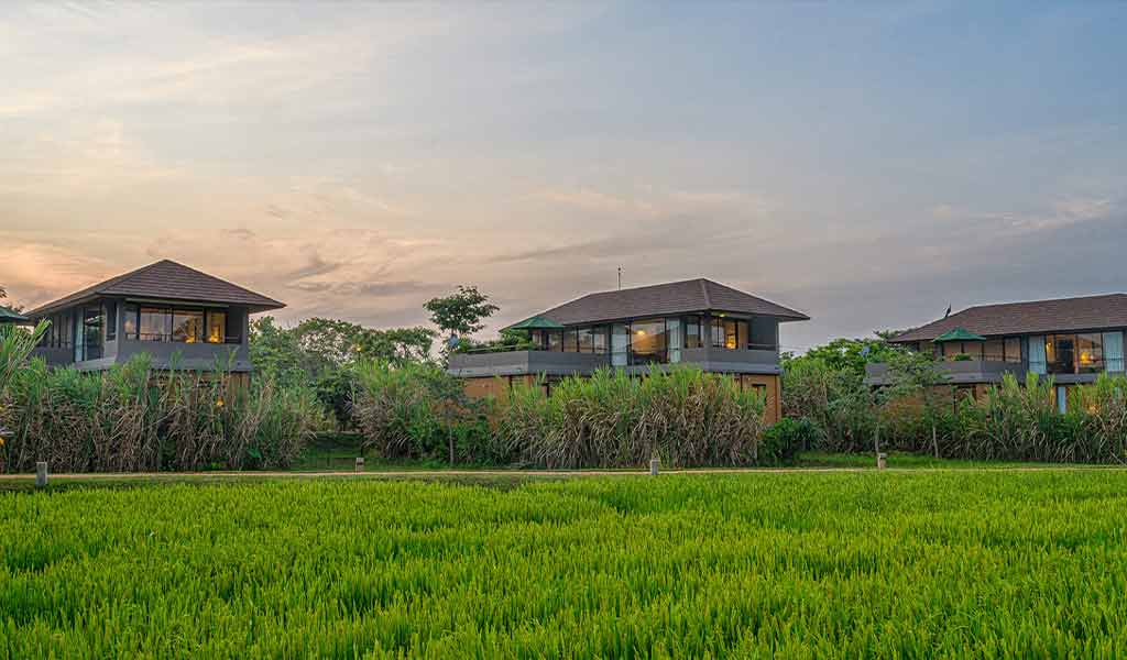 Luxury Resort in Sigiriya | Water Garden Sigiriya